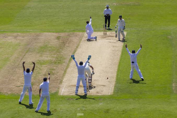 Explaining Different Types of Cricket Formats: Checkout new discoveries ...
